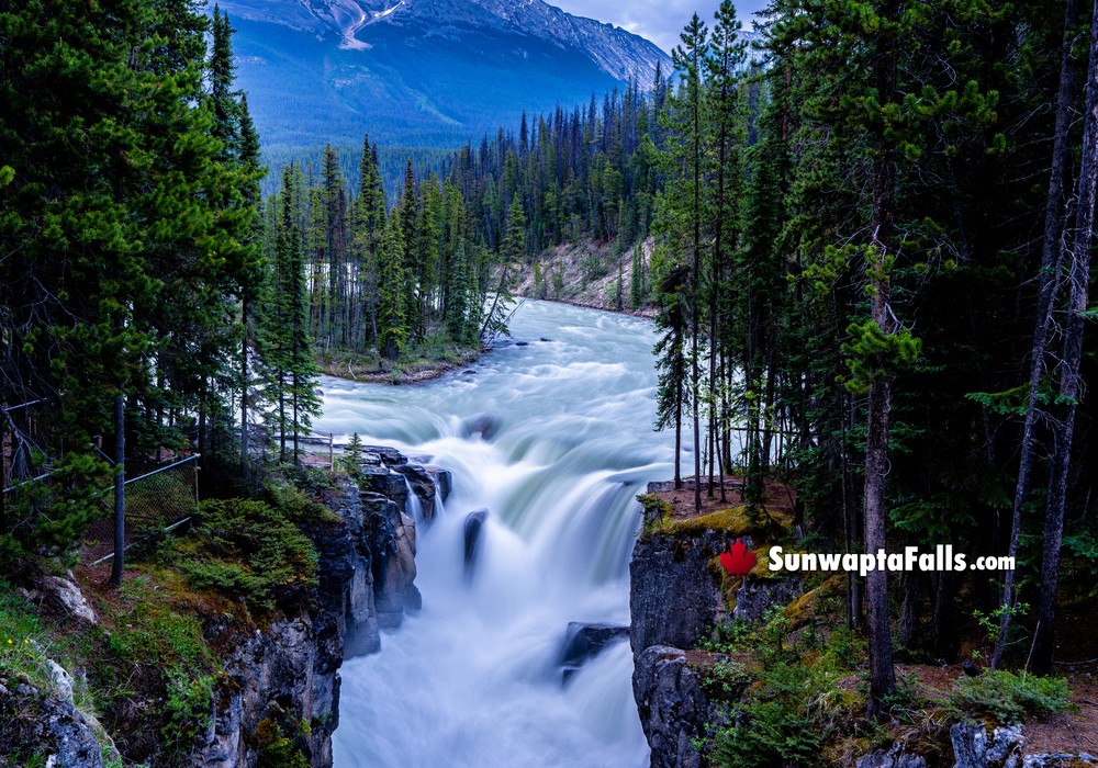 Sunwapta Falls